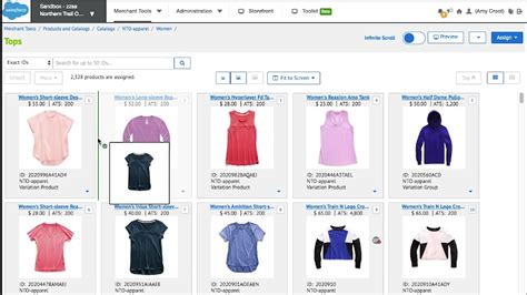 Magento Vs Salesforce Commerce Cloud Which Is Better In 2025