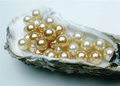 Identifying Pearls Used In Antique And Vintage Jewelry