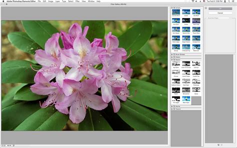 Filter Not Opening Adobe Community 11797551