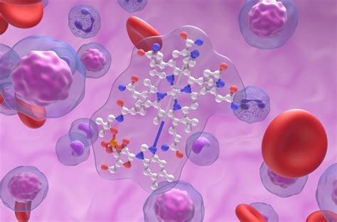 What Is The Role Of Vitamin B12 And Folate In Dna Synthesis