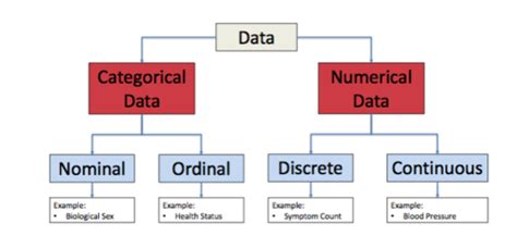 Data Flashcards Quizlet