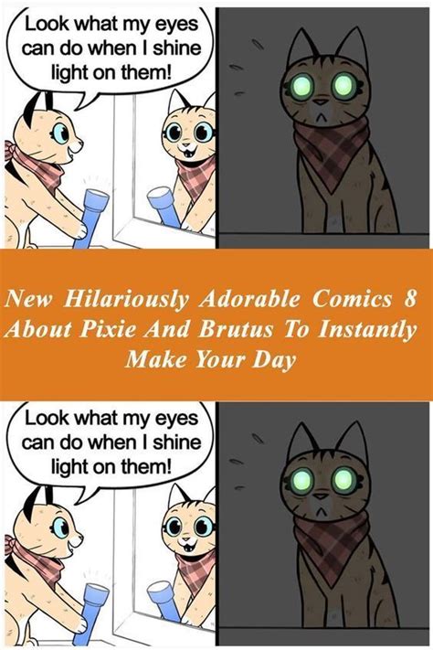 8 New Hilariously Adorable Comics About Pixie And Brutus To Instantly Make Your Day Artofit