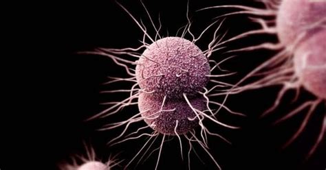 The Rural Blog Sexually Transmitted Diseases Are On The Rise As