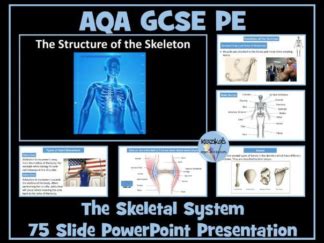 AQA GCSE PE The Skeletal System Inspire And Educate By Krazikas