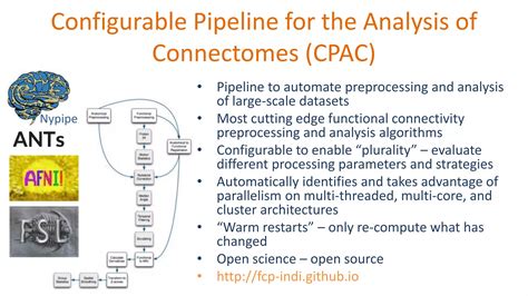 Introduction To Resting State Fmri Preprocessing And Analysis Pptx