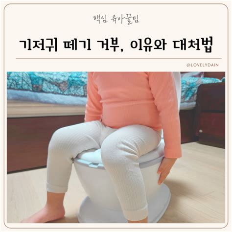 아기 기저귀 떼기 거부 이유 대처법 네이버 블로그