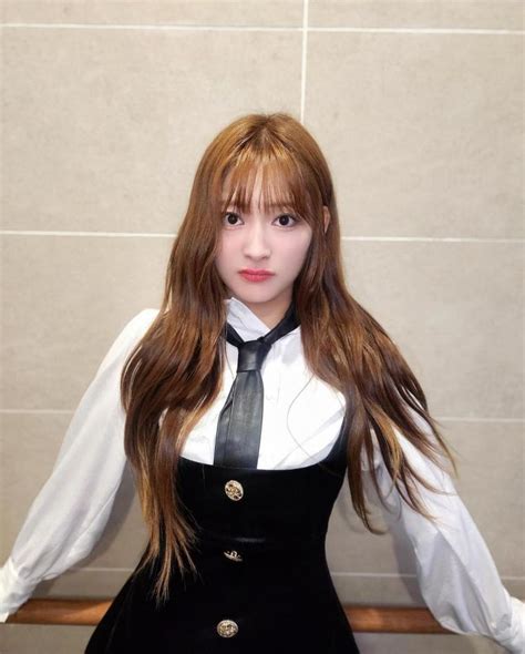 시그니처 세미 촬스의 이슈와 유머