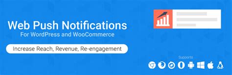 pushalert web push notifications for wordpress and woocommerce wordpress plugin