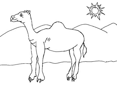 جمل صفحات تلوين