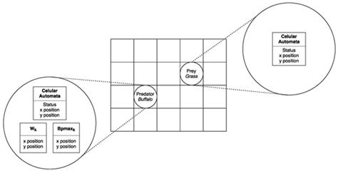 Algorithms Special Issue Nature Inspired Optimization Algorithms