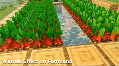 Azify Shader 119 Rtx Shader For Mobile Mc Modnet