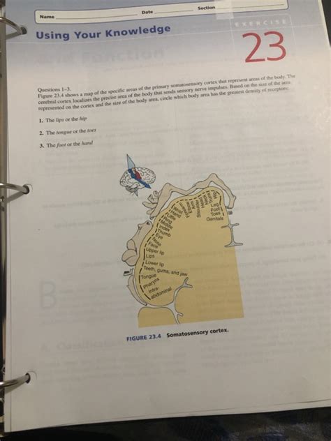 solved section date name exercise using your knowledge 23