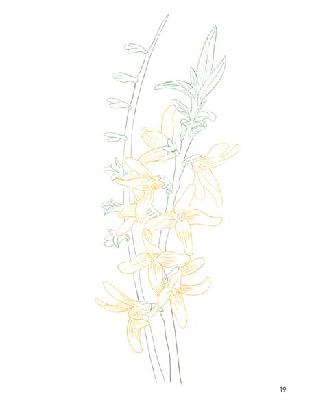 알라딘 미리보기 색연필로 그리는 꽃그림