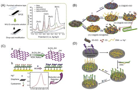 A Schematic Illustration Of Graphene Based Modified Electrode For