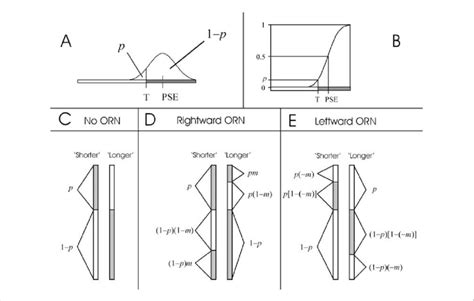 A The Two Collinear Stimulus Segments Are Illustrated In White Left Download Scientific