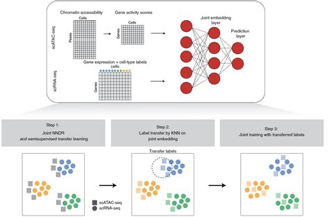 Yingxin Lin Research