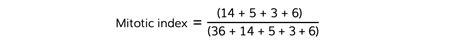 Mitotic Index Ib Hl Biology Revision Notes