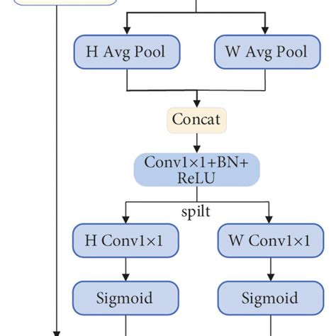Encoder Path Components A Components Of The Initial Module B Download Scientific Diagram