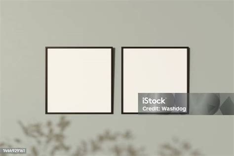 두 개의 정사각형 검은색 프레임이 식물 그림자 오버레이가 있는 녹색 벽에 모형을 만듭니다 3d 그림 0명에 대한 스톡 사진 및 기타 이미지 Istock