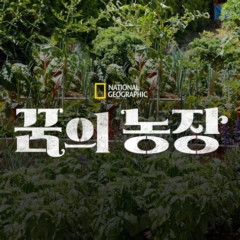 내셔널지오그래픽 다큐 꿈의 농장 로고 작업 로고 디자인 포트폴리오 크몽