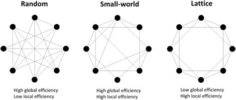 Examples Of Random Small World And Lattice Networks A Small World