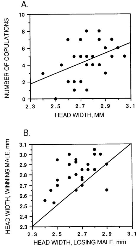 Associations Between Head Width And Sexually Selected Behavior Within Download Scientific