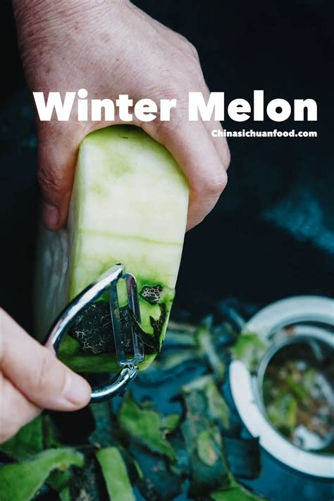 Winter Melons The Guide And Recipes China Sichuan Food