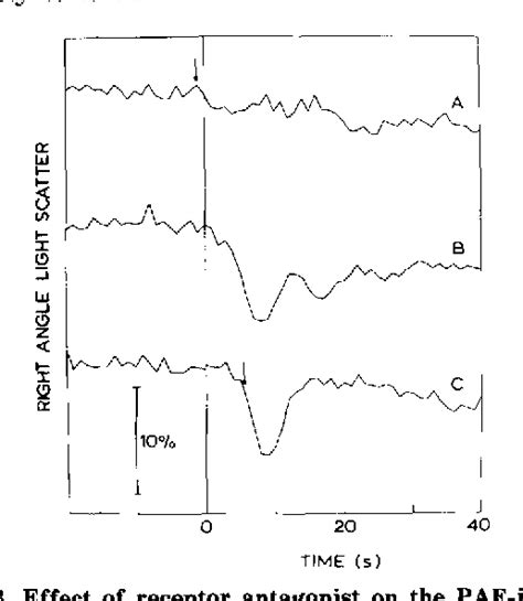 Figure 3 From Oscillating Actin Polymerization Depolymerization Responses In Human