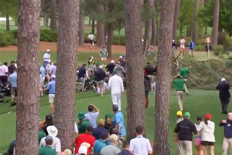 Watch The Crazy Moment A Massive Pine Tree Came Crashing Down Within Feet Of Spectators At The