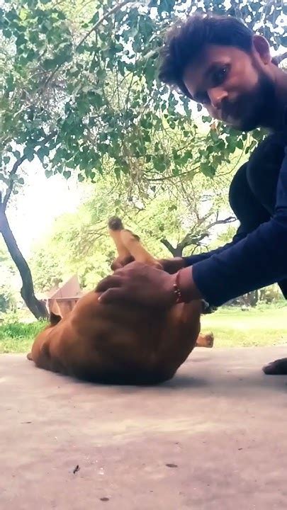 Comedy Video 🐕 😅 Mr Dinesh Kumar Youtube