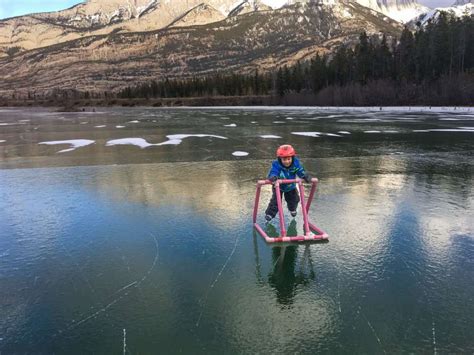 Pet Sitter My Jasper Nanny