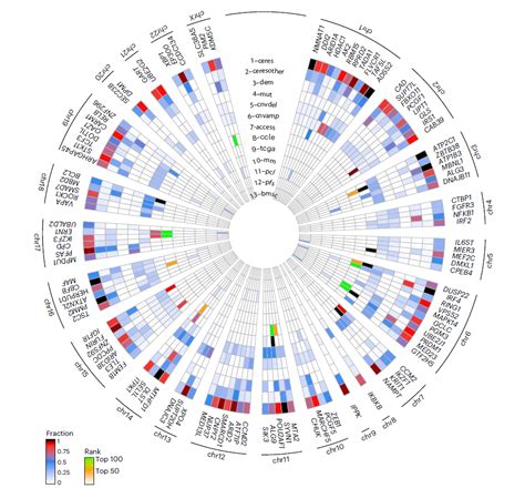 Nature Cancer：全基因组crispr筛选，发现多发性骨髓瘤治疗新靶点 博普智库