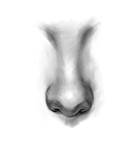 How To Draw The Nose A Simple Step By Step Guide GVAAT S WORKSHOP