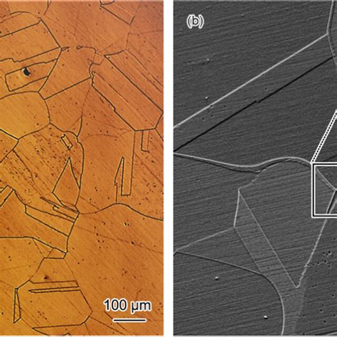 Microstructure Of C Hra 2 Bm A Om Micrograph B Sem Micrograph Download Scientific Diagram