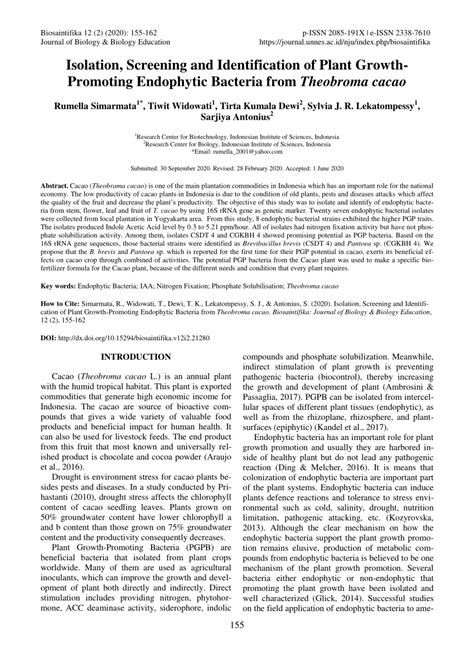 Pdf Isolation Screening And Identification Of Plant Growth Promoting