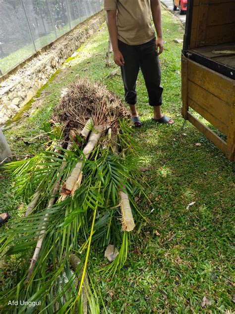 Lori Buang Sampah Rumah Pejabat Services Others On Carousell