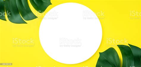 녹색 잎 배경에 흰색 빈 둥근 또는 원 프레임의 배너 광고를위한 빈 텍스트 공간 포스터 자연 개념 노란색 배경에 나뭇잎과 텍스트에 흰색 원이 있습니다 공간을 복사합니다 0
