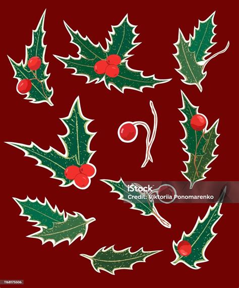 호랑 가시 나무 잎과 열매에서 크리스마스 스티커의 집합입니다 식물 스티커 녹색 호랑 가시 나무는 흰색 배경에 질감과 붉은 열매와 잎 격리 벡터 손으로 그린 그림입니다 0명에