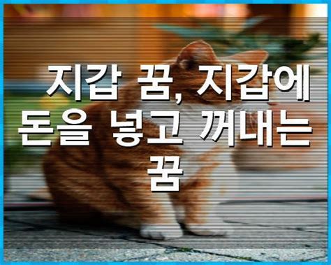 지갑 꿈 지갑에 돈을 넣고 꺼내는 꿈