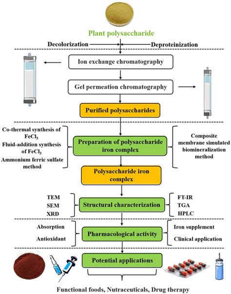 Structural Characterization And Biological Activities Of Polysaccharide Iron Complex Synthesized
