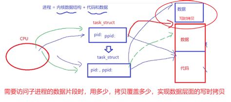 【linux系列】fork 函数原理与应用详解——了解【父子进程及其特性】代码演示，画图帮助理解，思维导图，精简（11）linux Fork Csdn博客