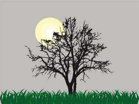 Tree Vector Vector Art Graphics Freevector Com