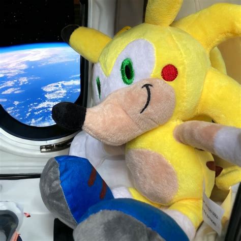 Bootleg Sonic Plush Etsy