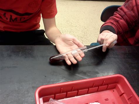 EC Honors Biology Strawberry DNA Extraction Lab