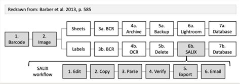 The Salix Method Workflow Bcr Barcode Reading Ocr Optical