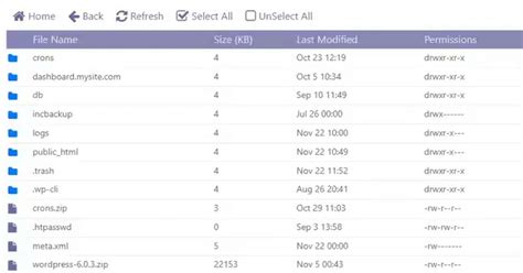 How To Find Location Php File And And Run Cron Via Cyberpanel Interface Correct Command