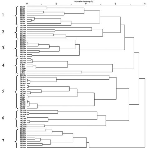Cluster Analysis Dendrogram Divided Into 7 Groups According To Isa Download Scientific Diagram