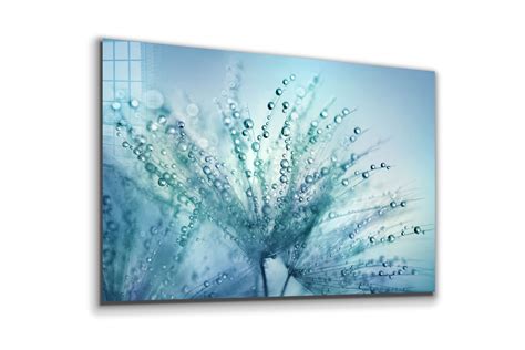 Dandelion Large Glass Wall Art Temperedglasswallart