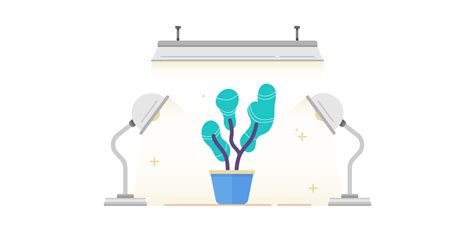 Growth Hacking For Ecommerce 17 Tactics You Can Try Now