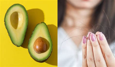 Aguacate Los Grandes Beneficios Que Tiene Para Su Cabello El País